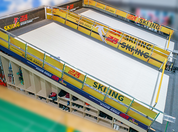 Treadmill Ski Machine Manufacturer & Supplier in China - Tuocen Sports